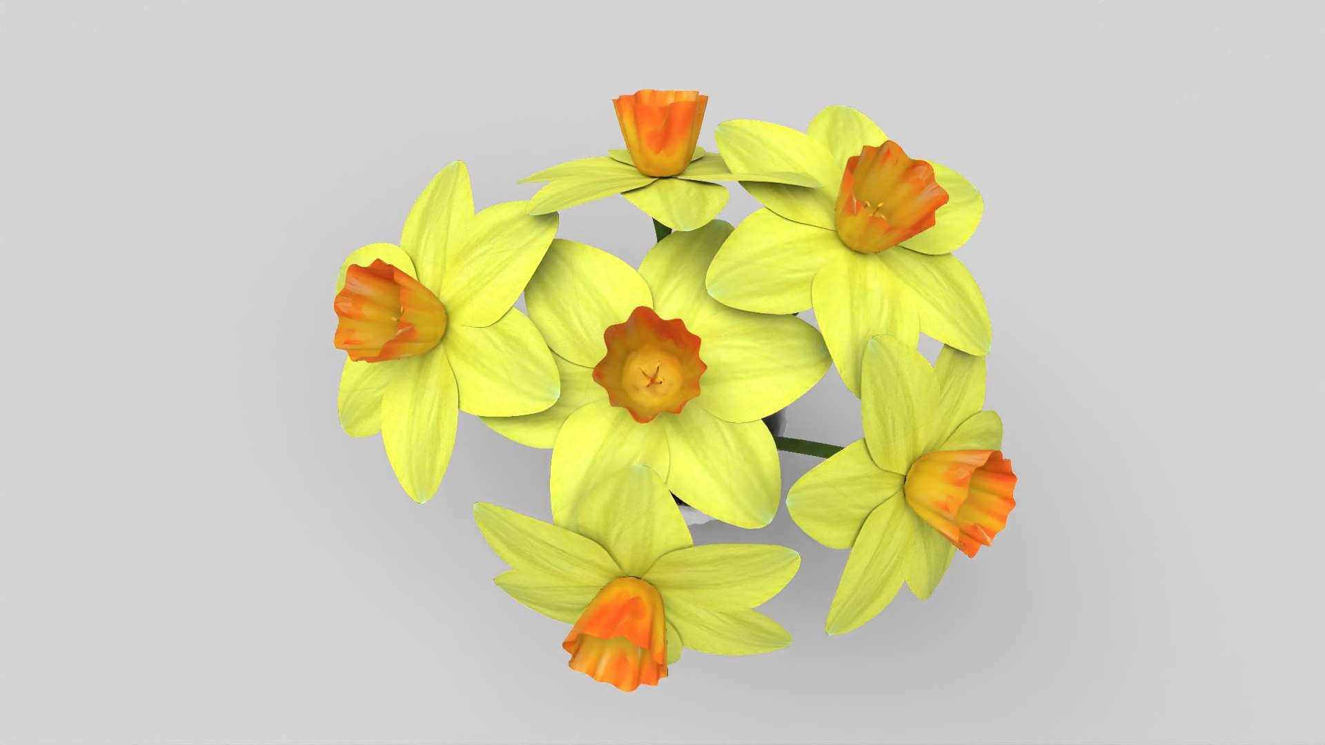 3D daffodil flowers model - TurboSquid 1618379