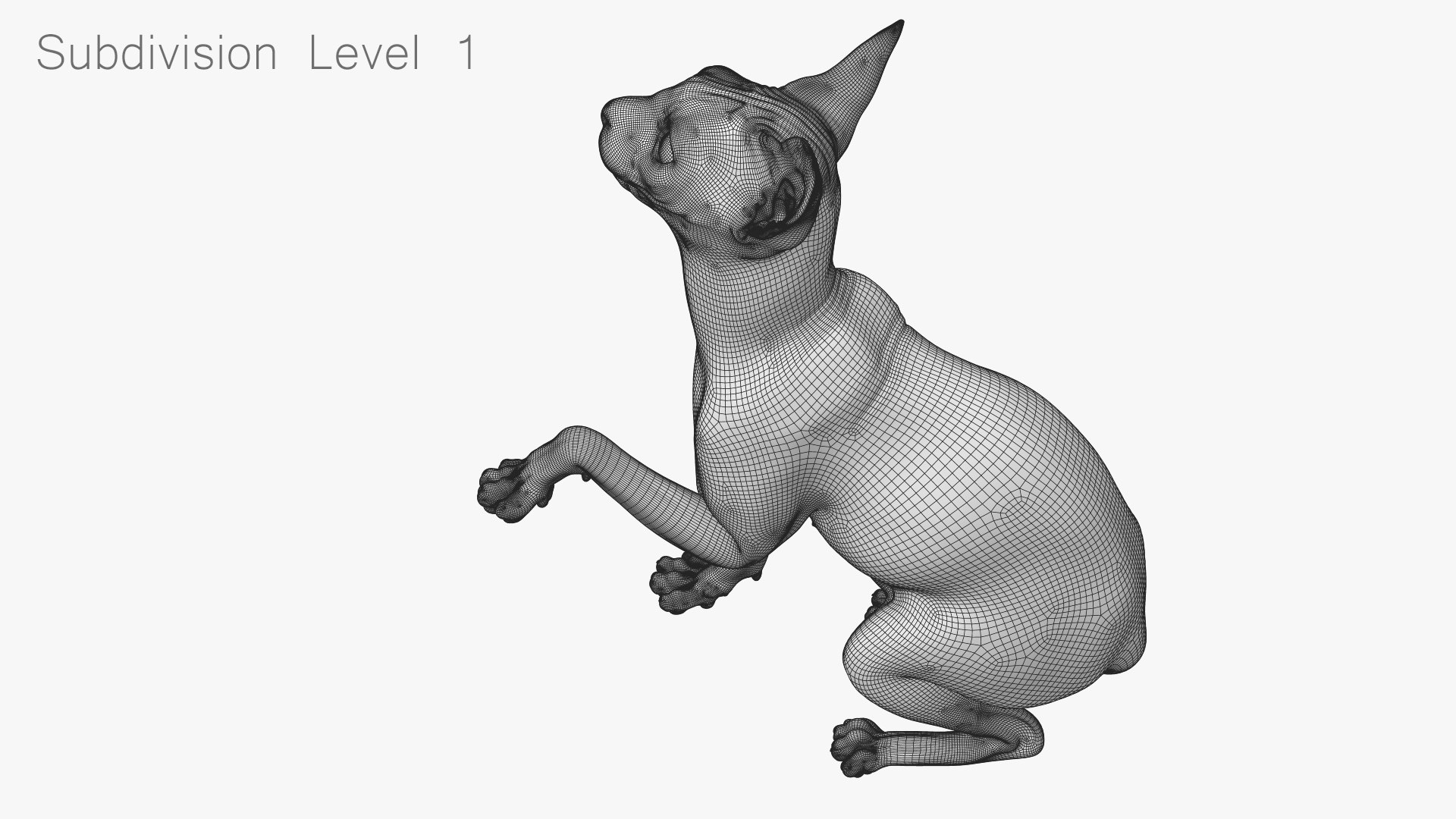 3D sphynx cat sitting pose - TurboSquid 1661632