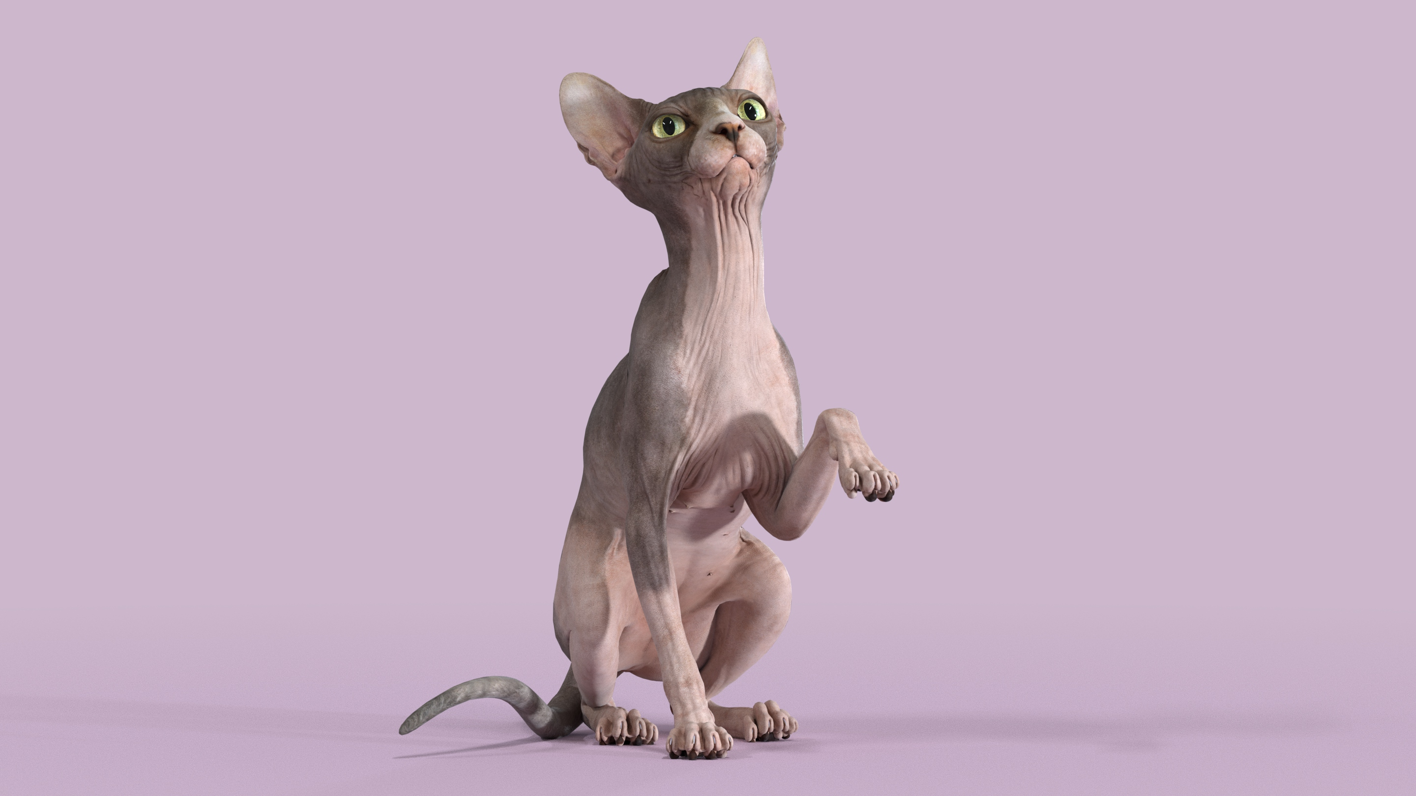 斯芬克斯猫坐姿 13D模型 - TurboSquid 1661632