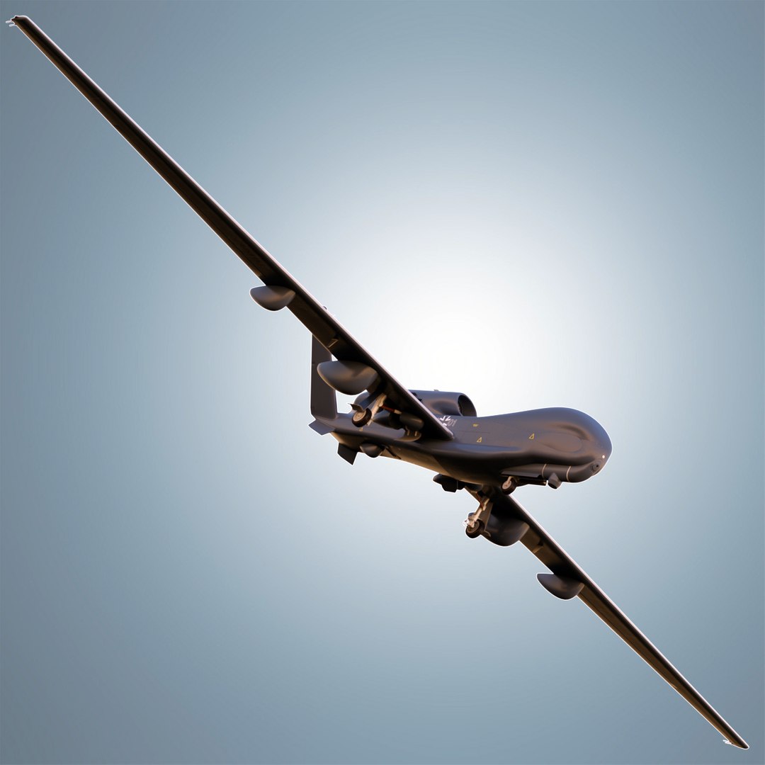 Northrop Grumman Luftwaffe 99-01 Max