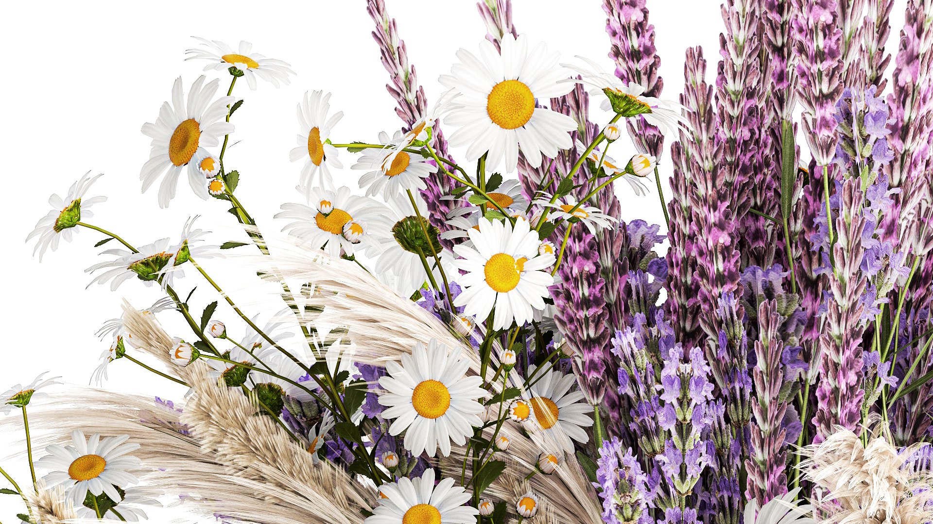 3D Bouquet Of Wildflowers Lavender Chamomile Poppy Pampas 417 ...