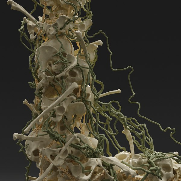 3D letter l bones skeleton - TurboSquid 1546158