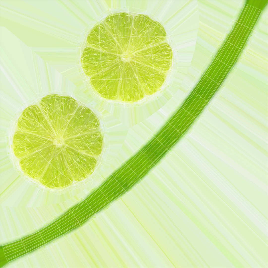 Round Lime Slice model - TurboSquid 1990158