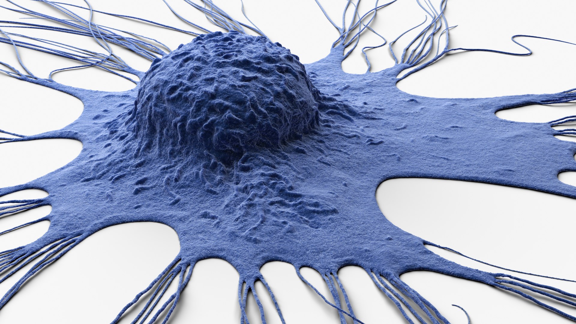 Cancer Cell Breast Model - TurboSquid 1921450