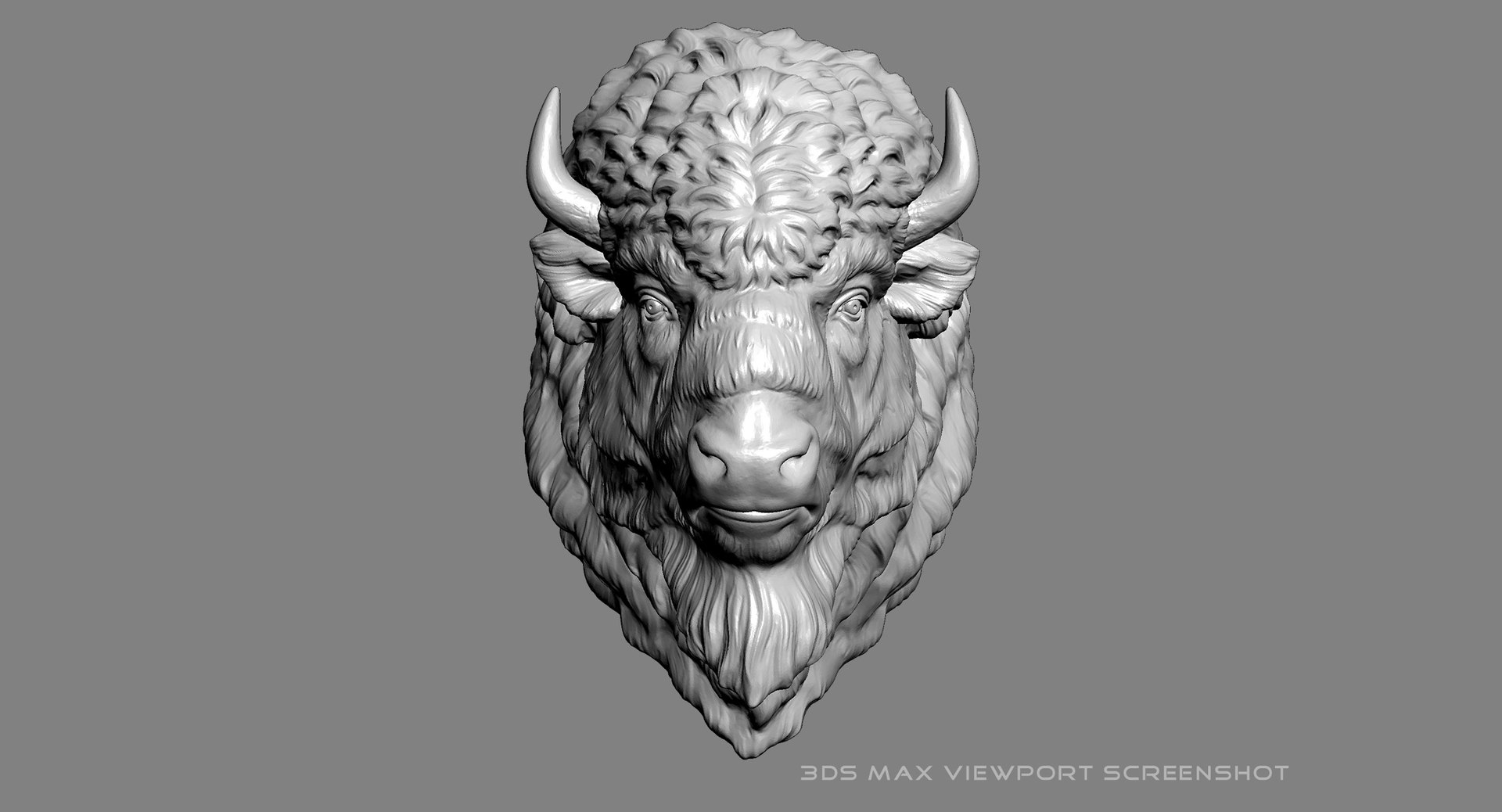 Max American Bison Buffalo Head