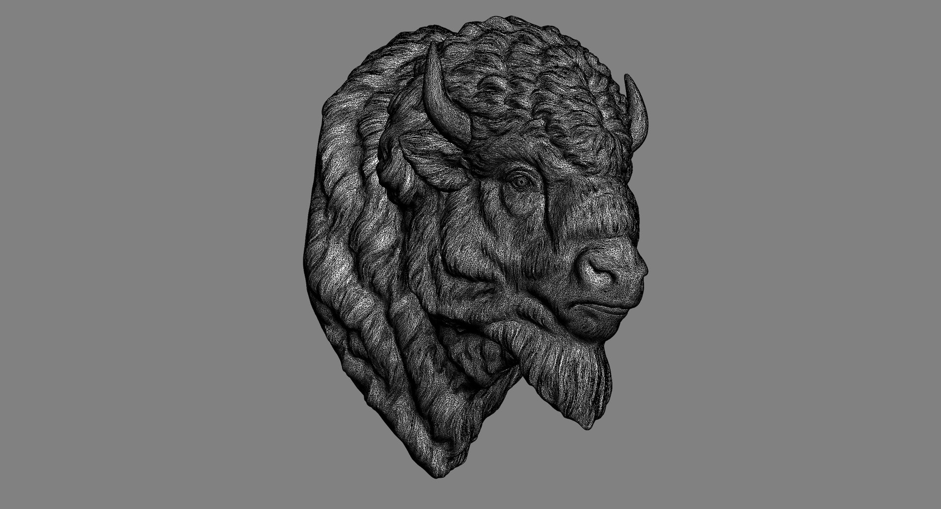 Max American Bison Buffalo Head