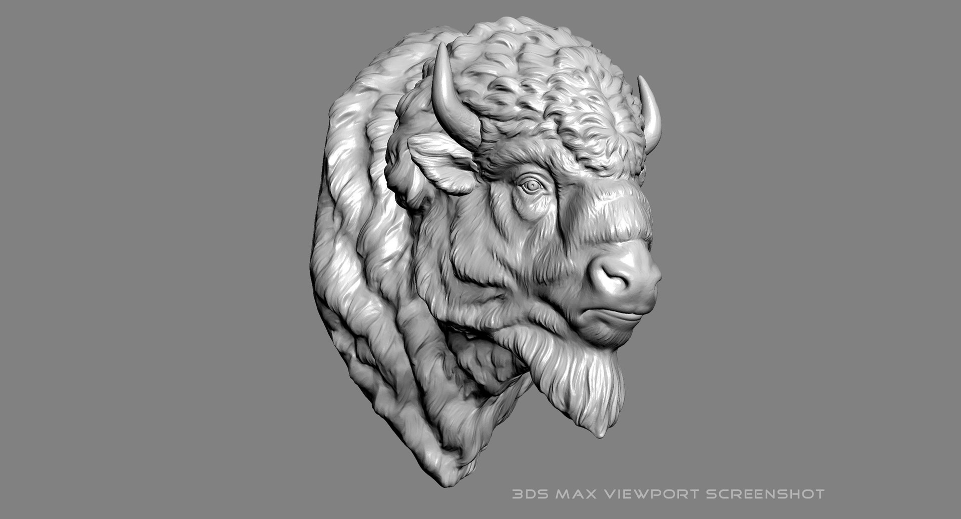 Max American Bison Buffalo Head