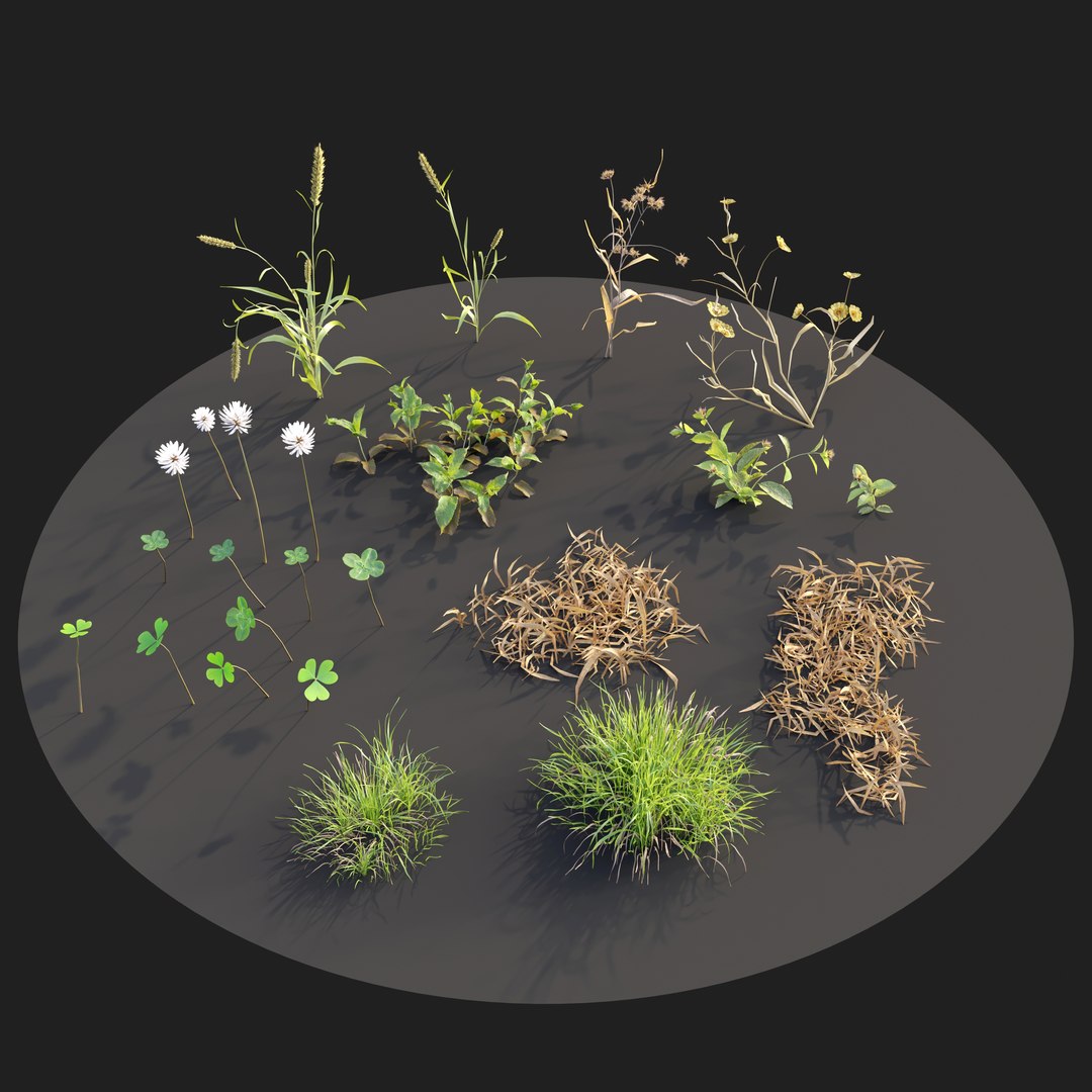 Meadow 08 3D Model - TurboSquid 1933539