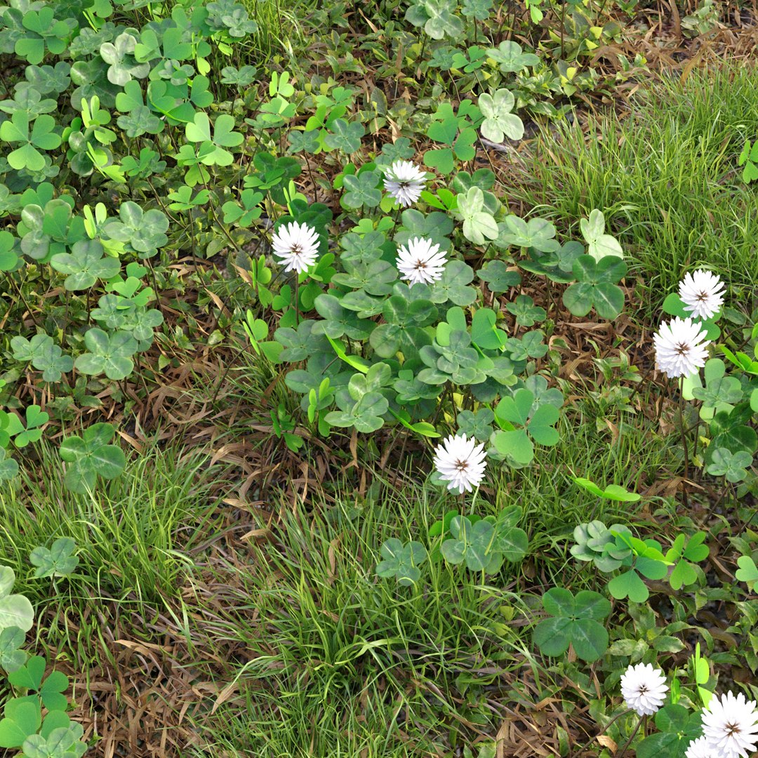 Meadow 08 3D Model - TurboSquid 1933539