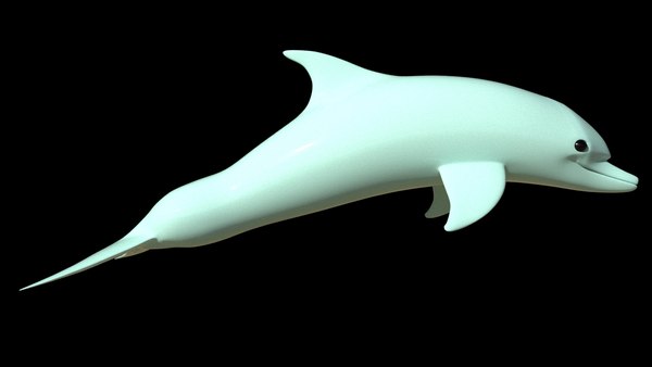 Dolpfin Afalin 3D-Modell - TurboSquid 2075192