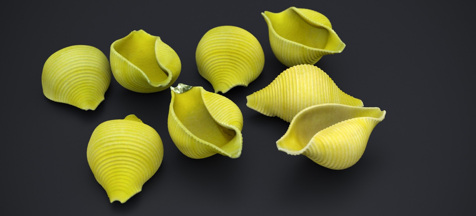 MACARONI SHELL PASTA 2024 3D Model - TurboSquid 2269415