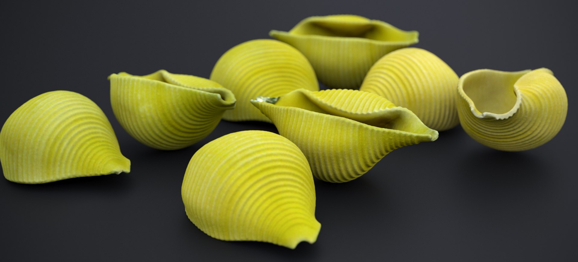MACARONI SHELL PASTA 2024 3D Model - TurboSquid 2269415