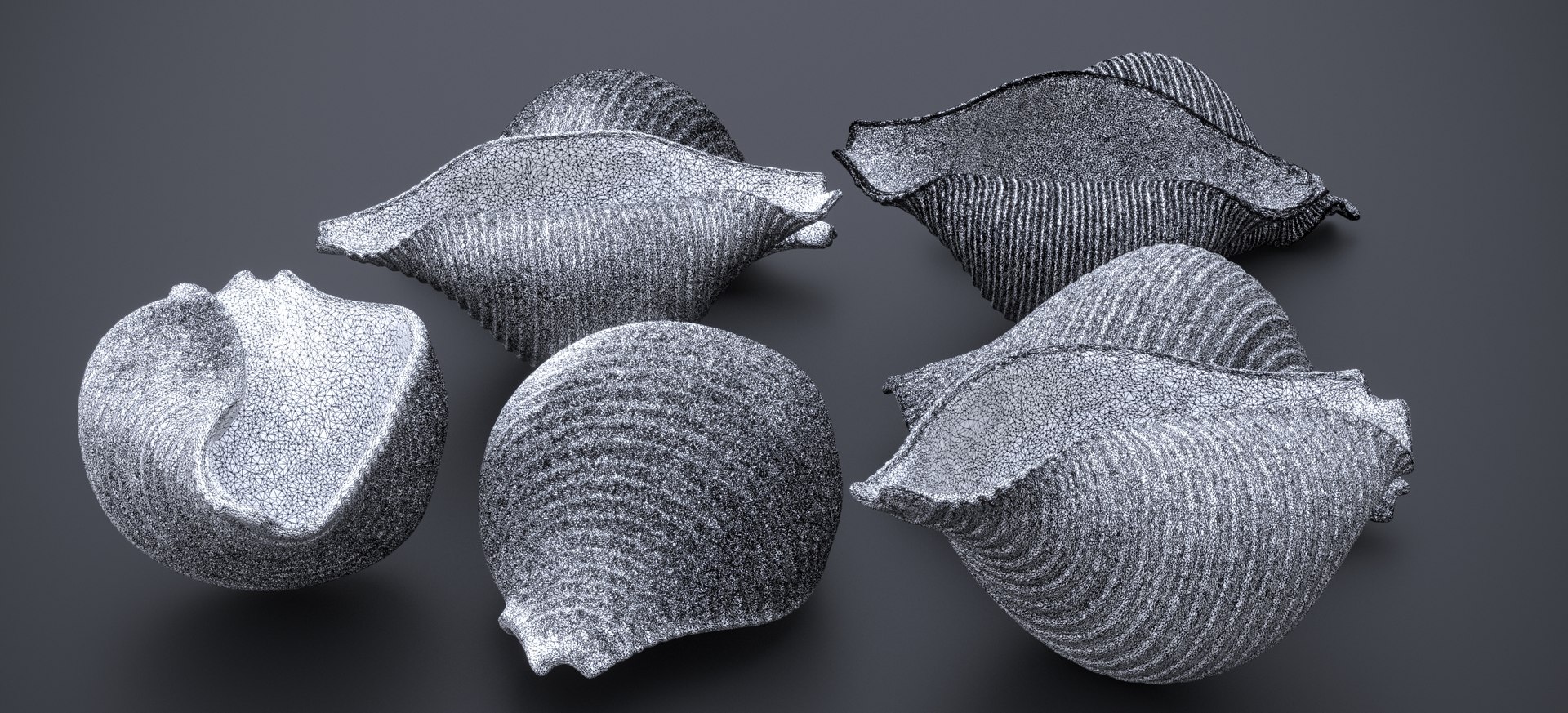 MACARONI SHELL PASTA 2024 3D Model - TurboSquid 2269415