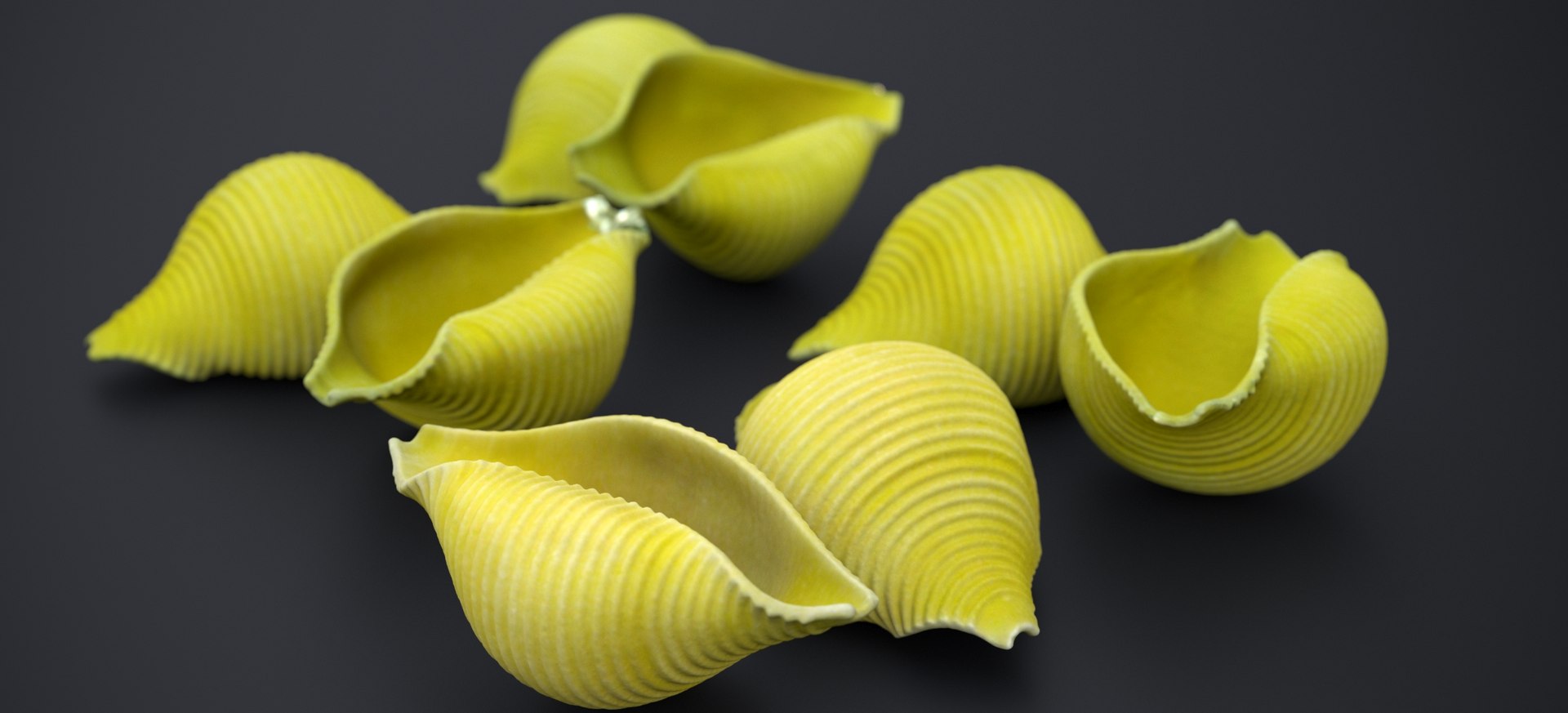 MACARONI SHELL PASTA 2024 3D Model - TurboSquid 2269415