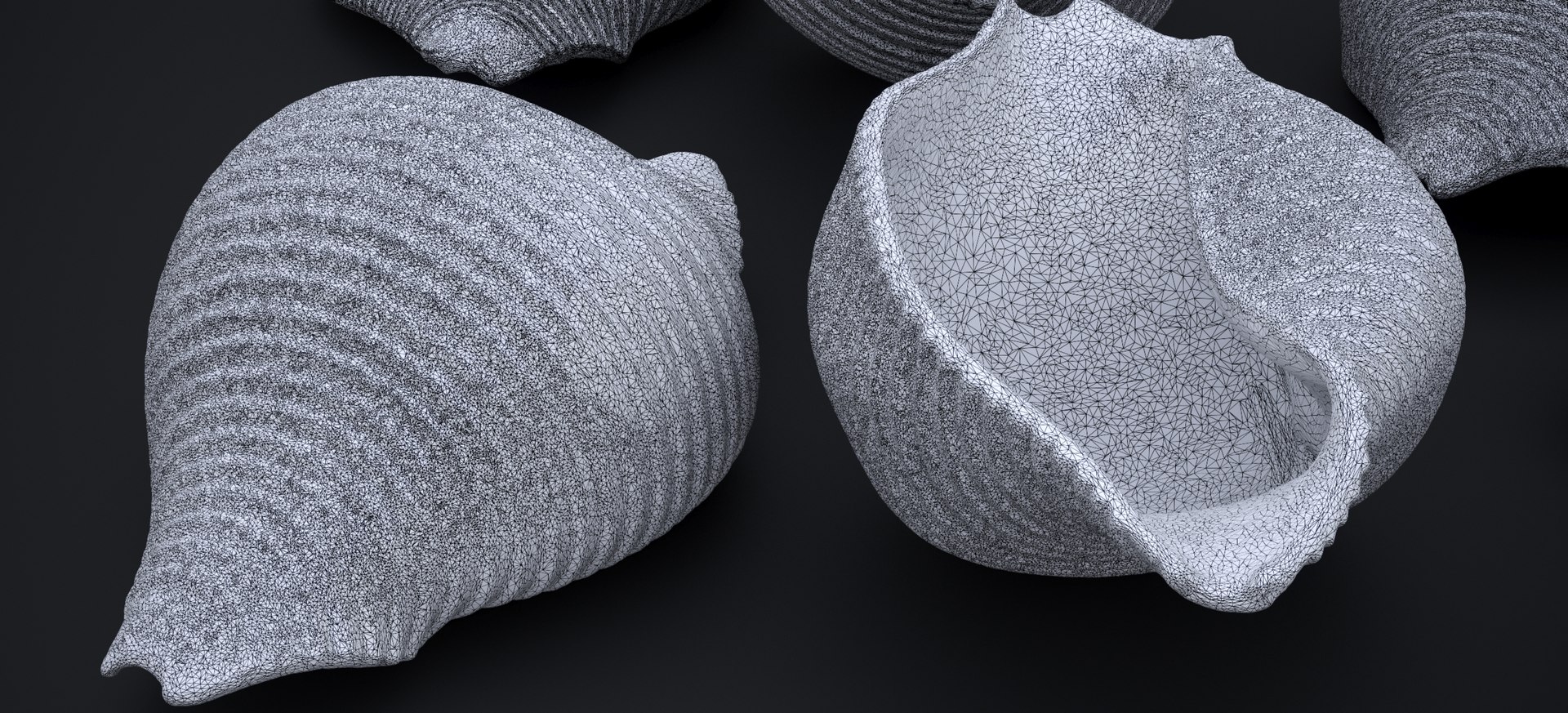 MACARONI SHELL PASTA 2024 3D Model - TurboSquid 2269415