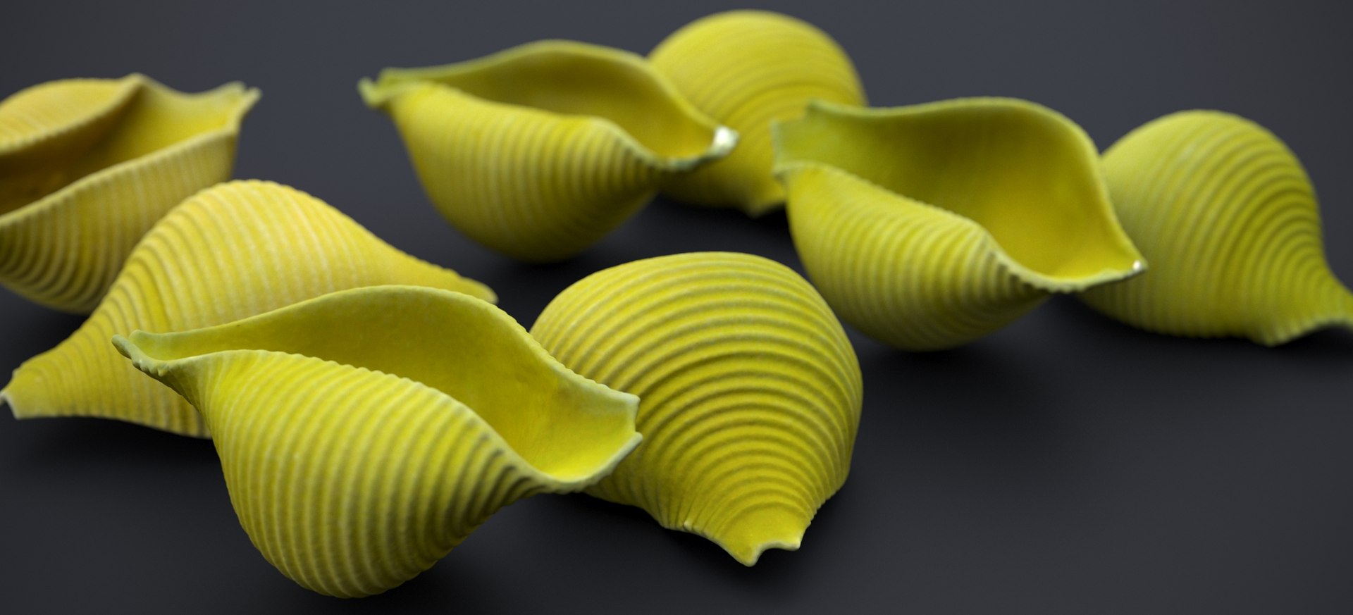 MACARONI SHELL PASTA 2024 3D Model - TurboSquid 2269415