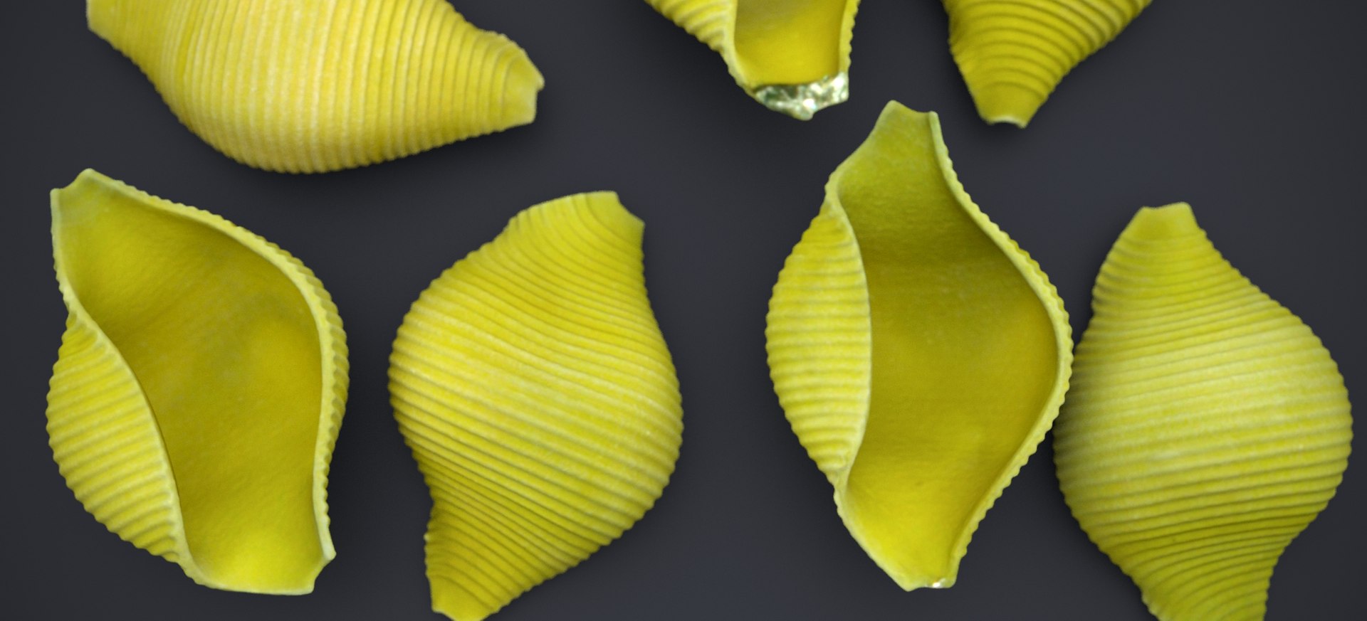 MACARONI SHELL PASTA 2024 3D Model - TurboSquid 2269415