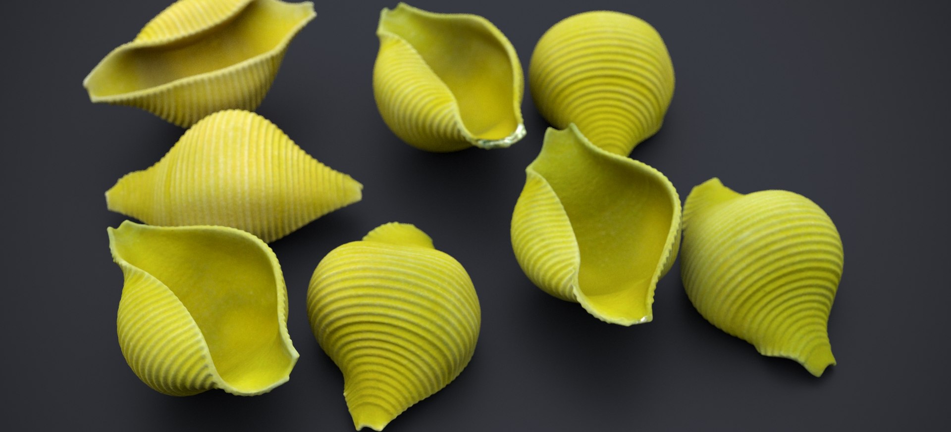 MACARONI SHELL PASTA 2024 3D Model - TurboSquid 2269415
