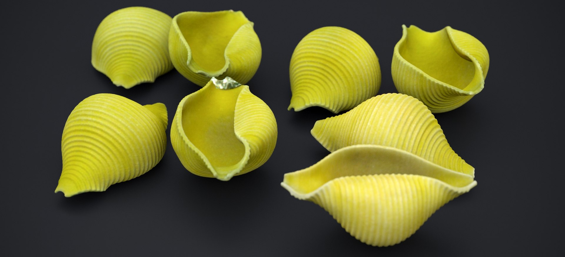 MACARONI SHELL PASTA 2024 3D Model - TurboSquid 2269415