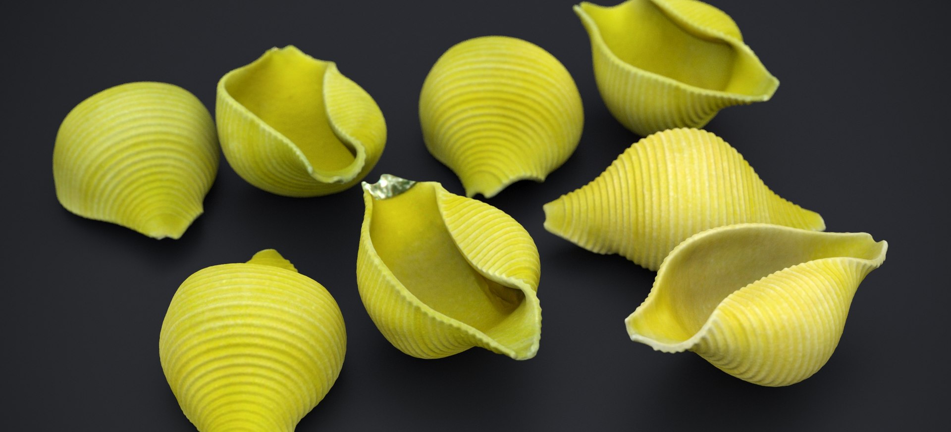 MACARONI SHELL PASTA 2024 3D Model - TurboSquid 2269415