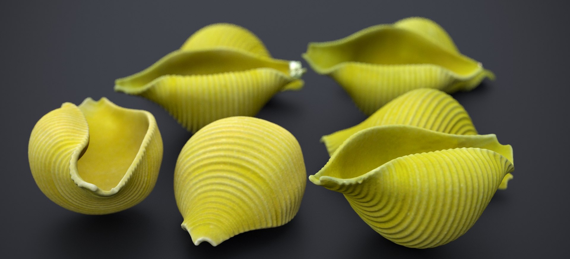 MACARONI SHELL PASTA 2024 3D Model - TurboSquid 2269415