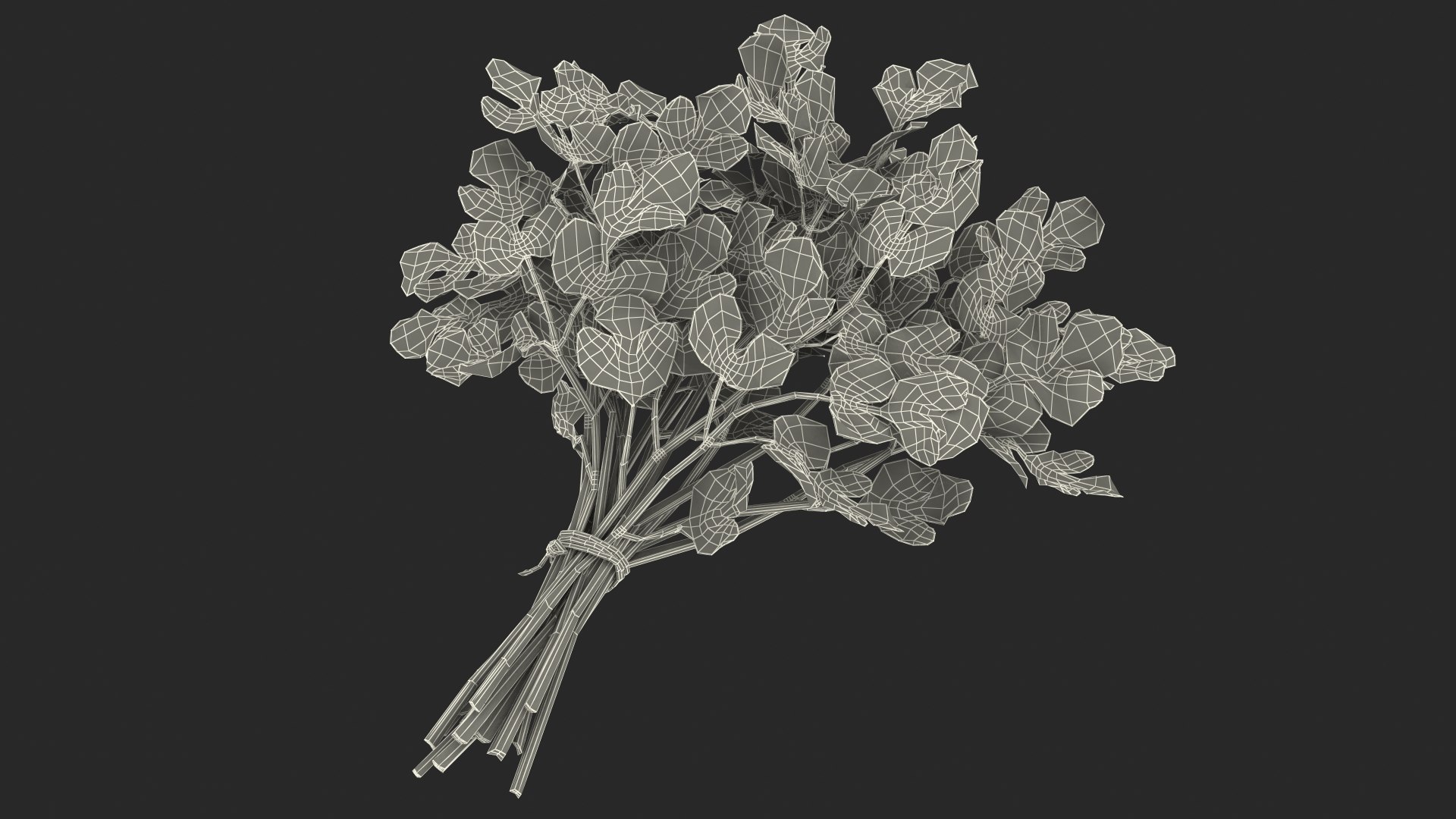 Cilantro Bunch With Rope Fur 3D model - TurboSquid 1886145