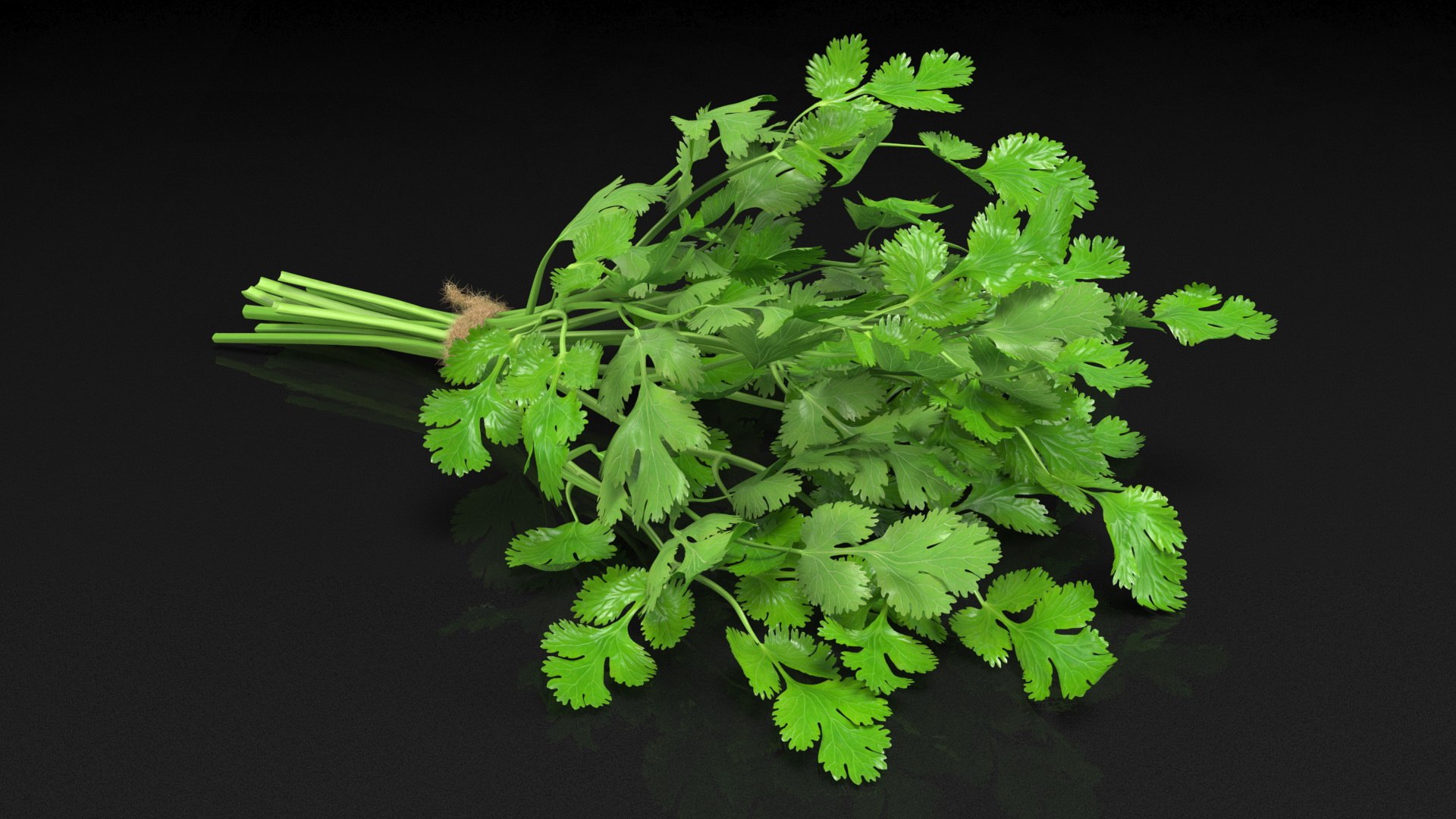 Cilantro Bunch With Rope Fur 3D model - TurboSquid 1886145
