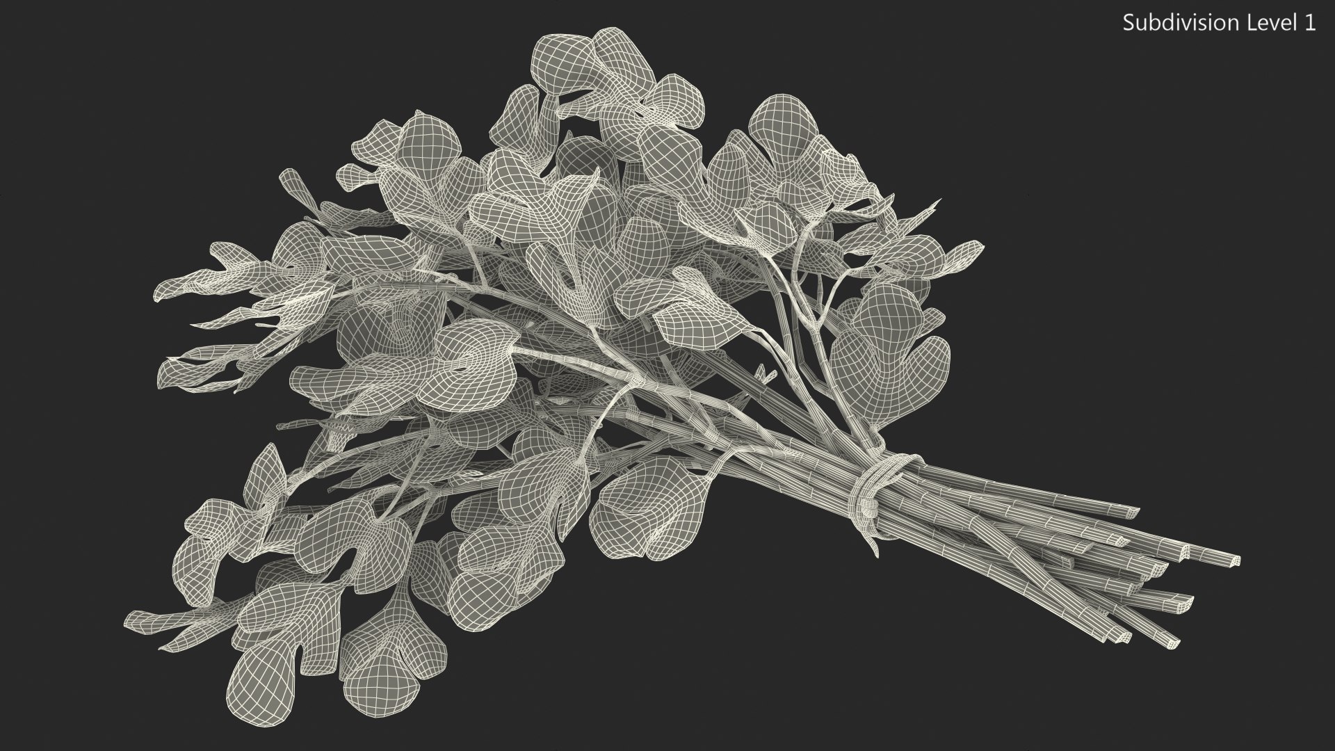 Cilantro Bunch With Rope Fur 3D model - TurboSquid 1886145