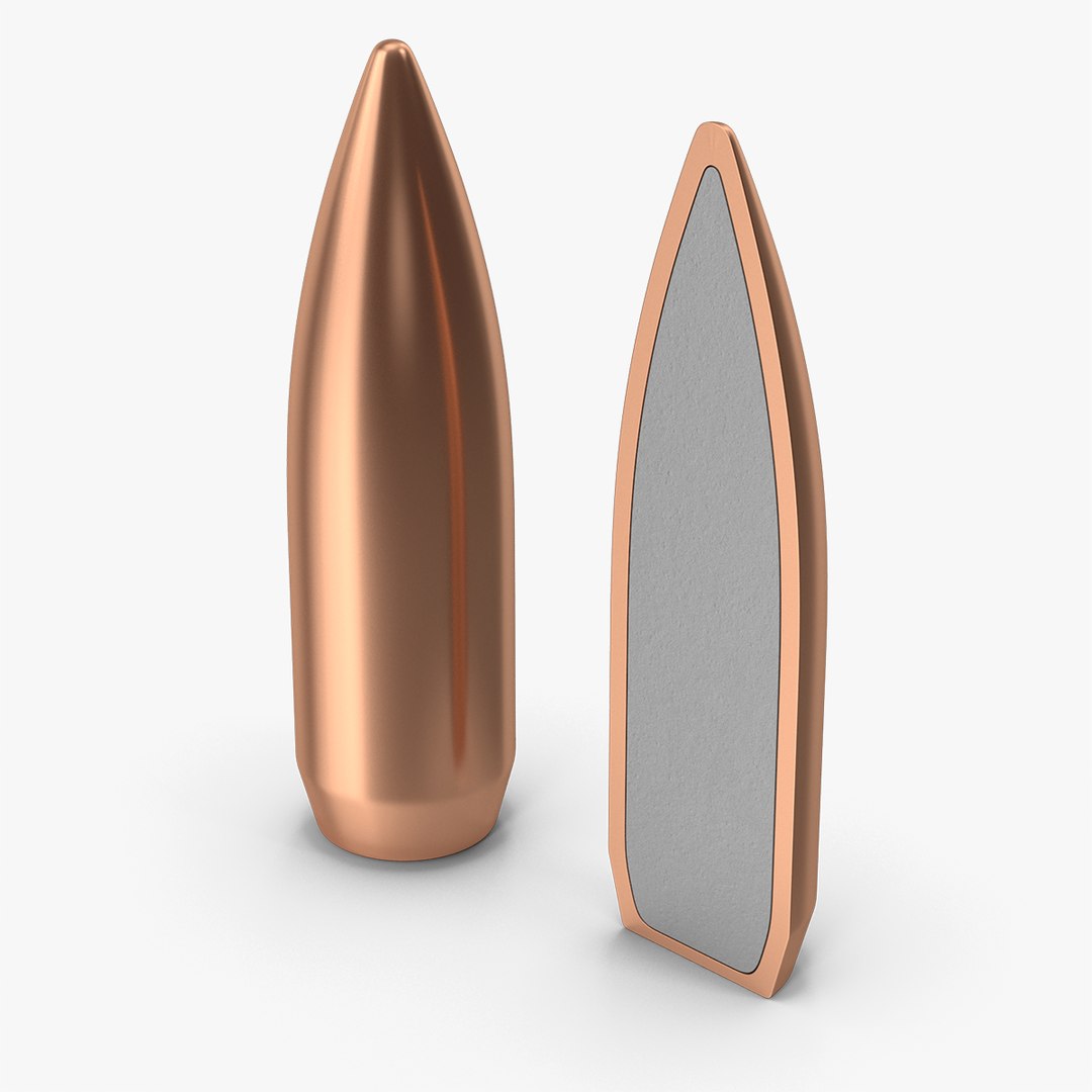 3D Cross Section Of Bullet model - TurboSquid 1960985