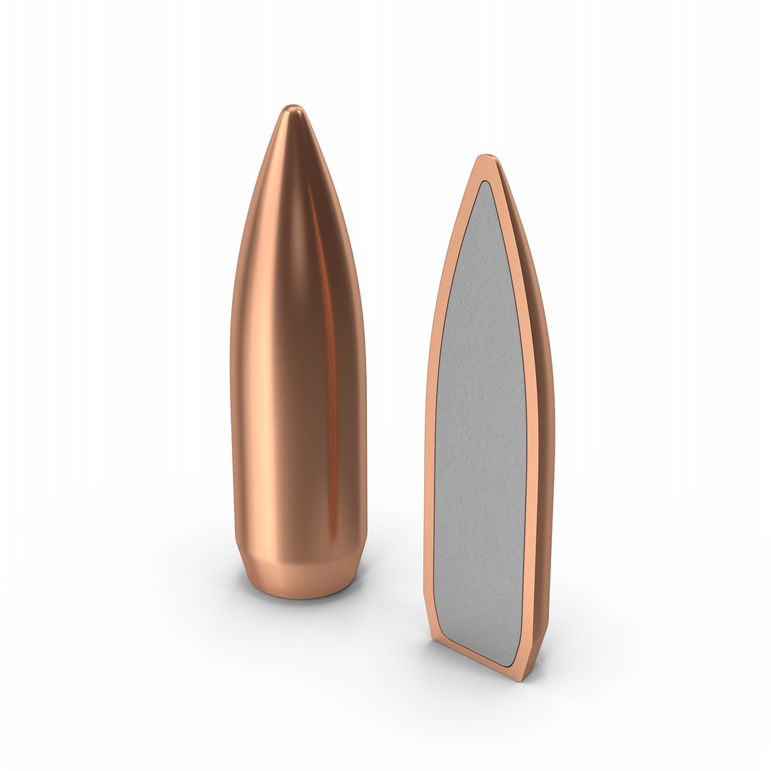 3D Cross Section Of Bullet Model - TurboSquid 1960985
