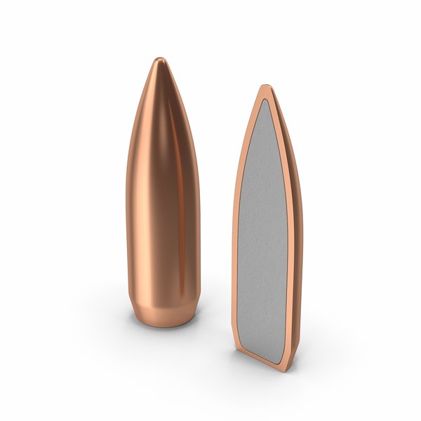 Cross Section Of Bullet Modelo 3D - TurboSquid 1960985