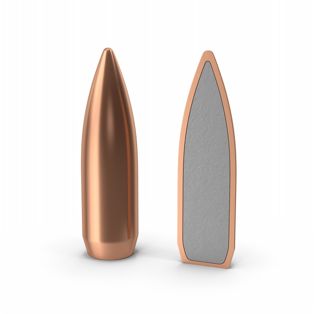3D Cross Section Of Bullet Model - TurboSquid 1960985