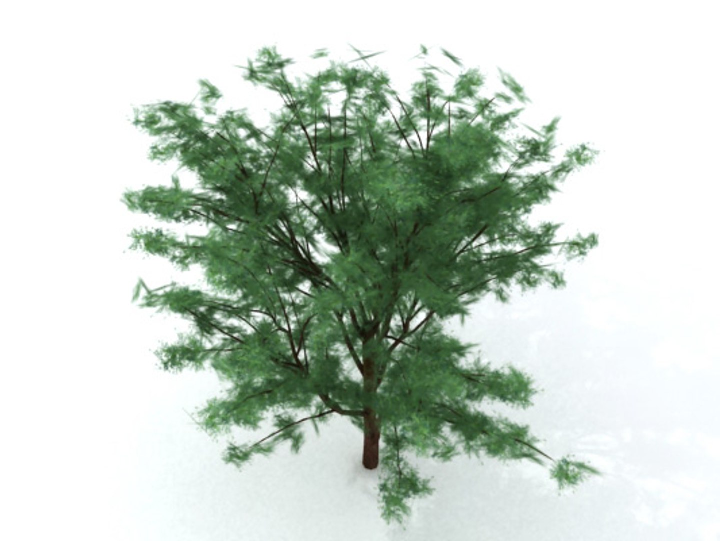 Tree Polygons 3d Model
