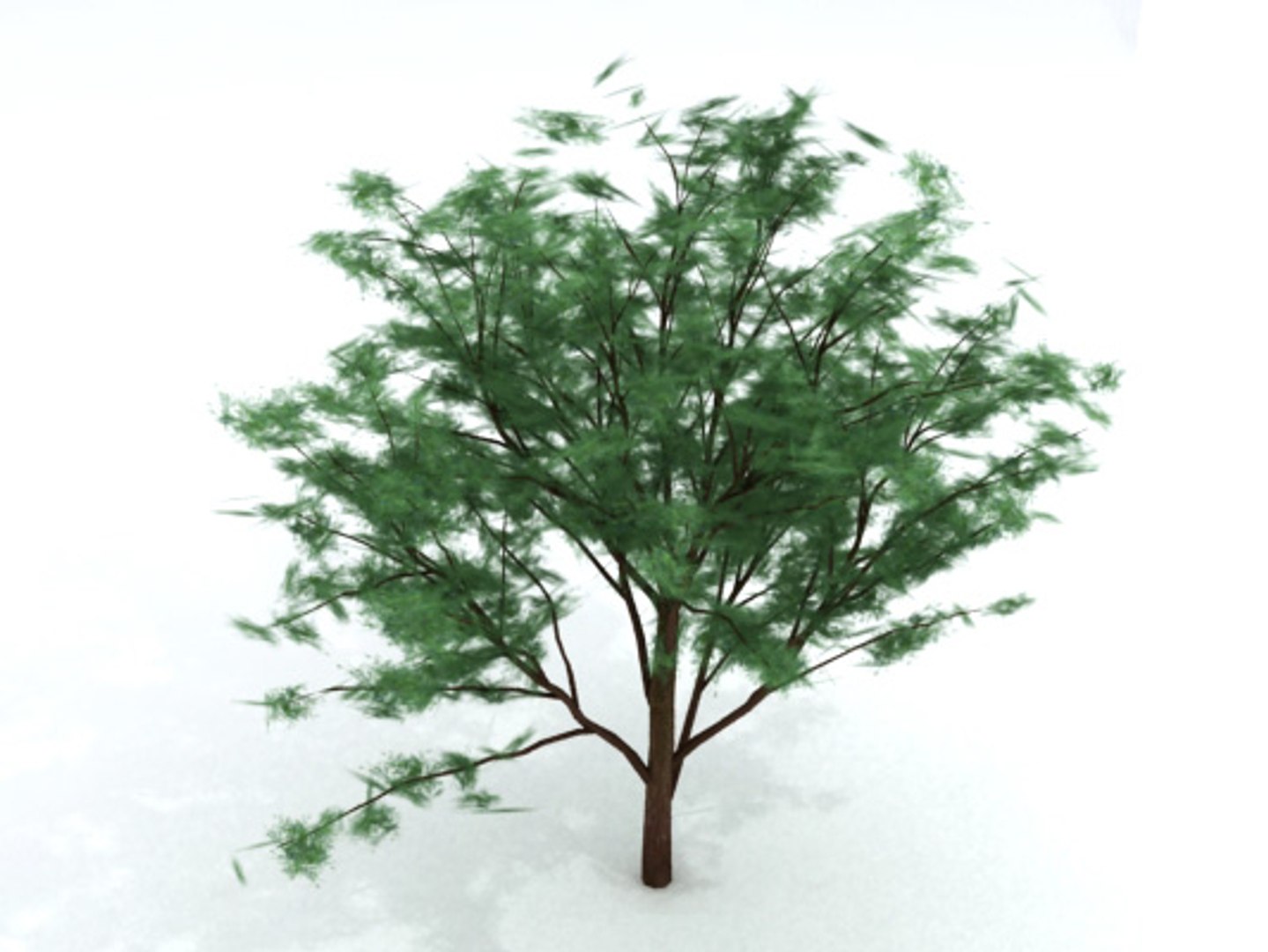 Tree Polygons 3d Model