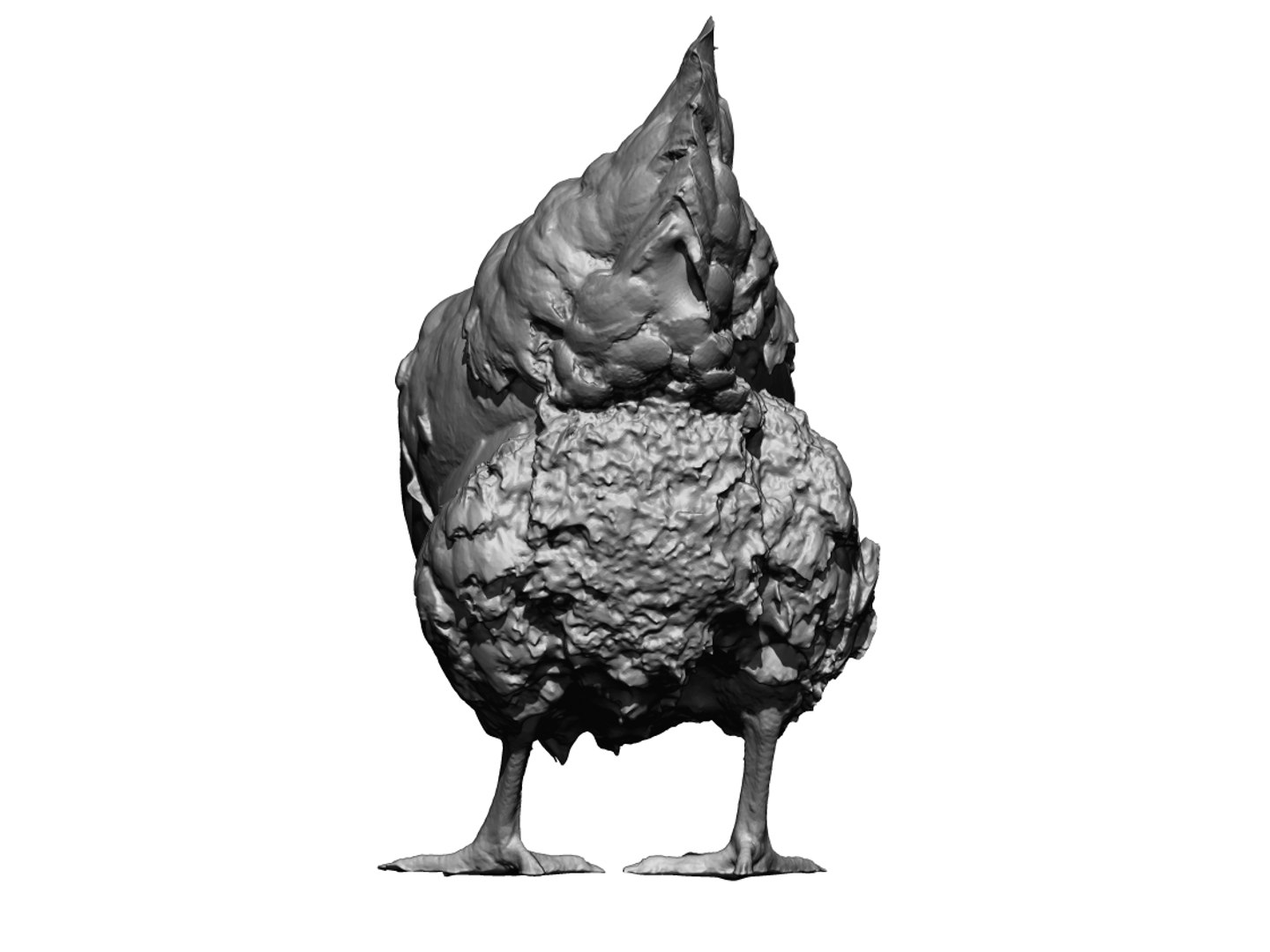 3D Real Chicken Scanned - TurboSquid 1387046
