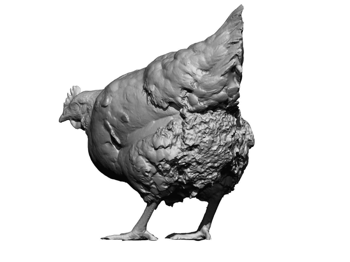 3D Real Chicken Scanned - TurboSquid 1387046