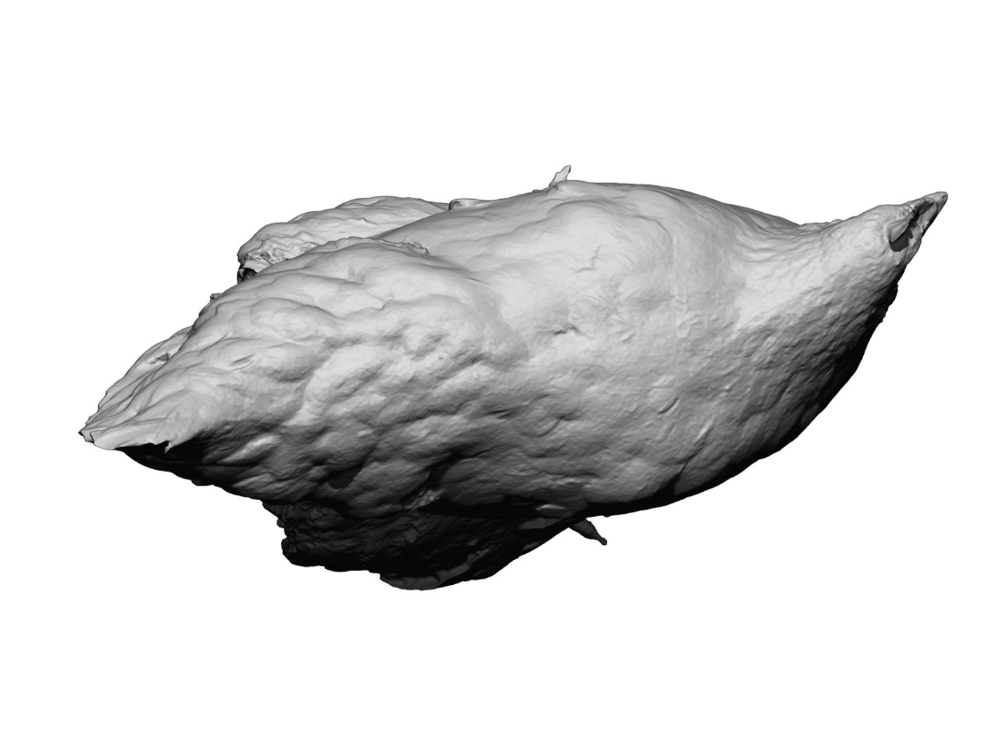 3D Real Chicken Scanned - TurboSquid 1387046