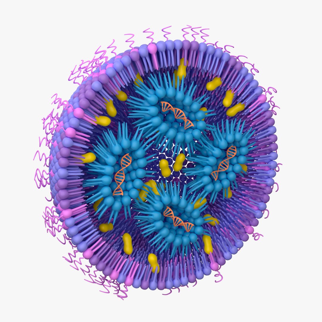 Lipid nanoparticles 3D model - TurboSquid 1922810