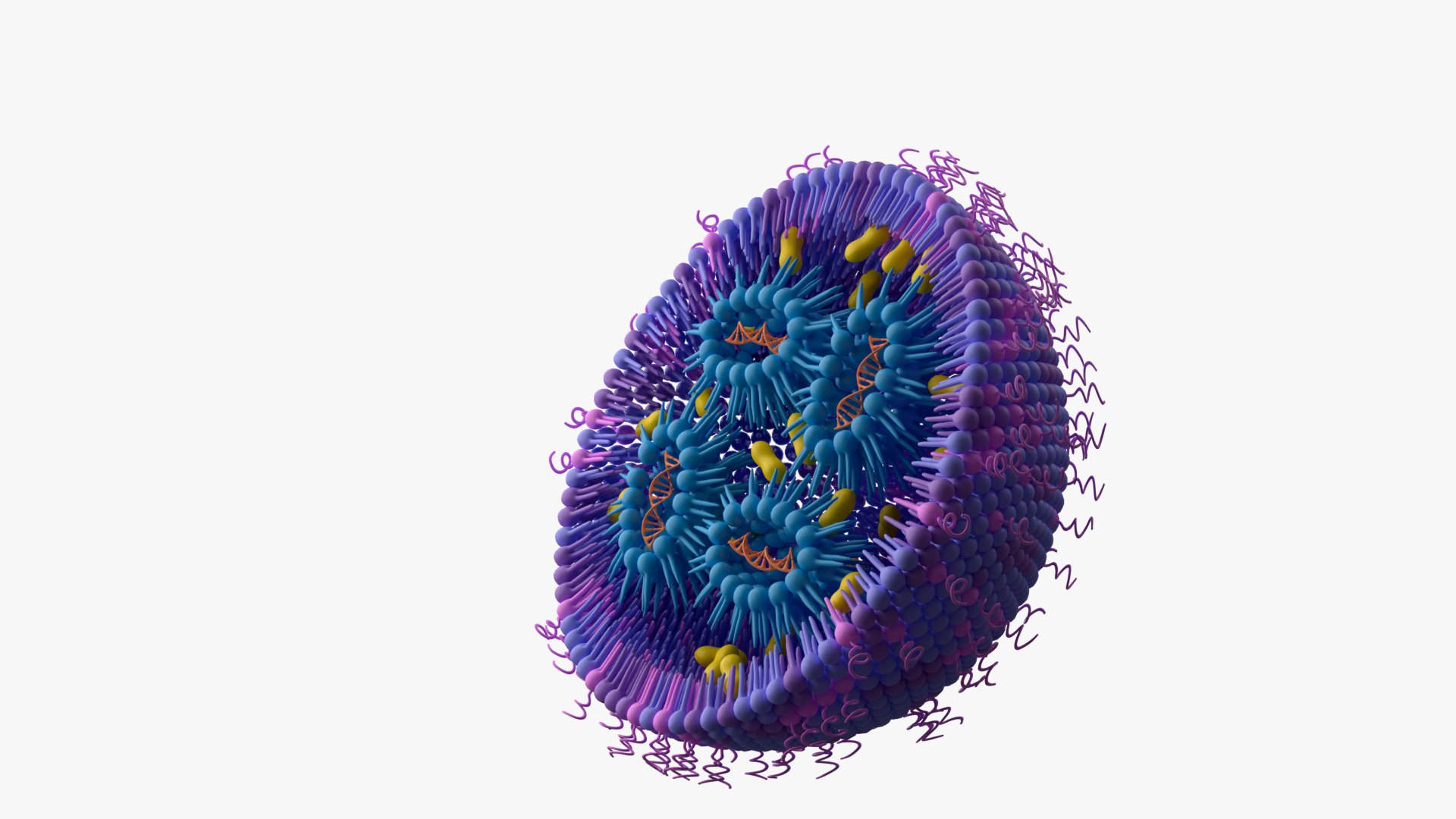 Lipid Nanoparticles 3D Model - TurboSquid 1922810