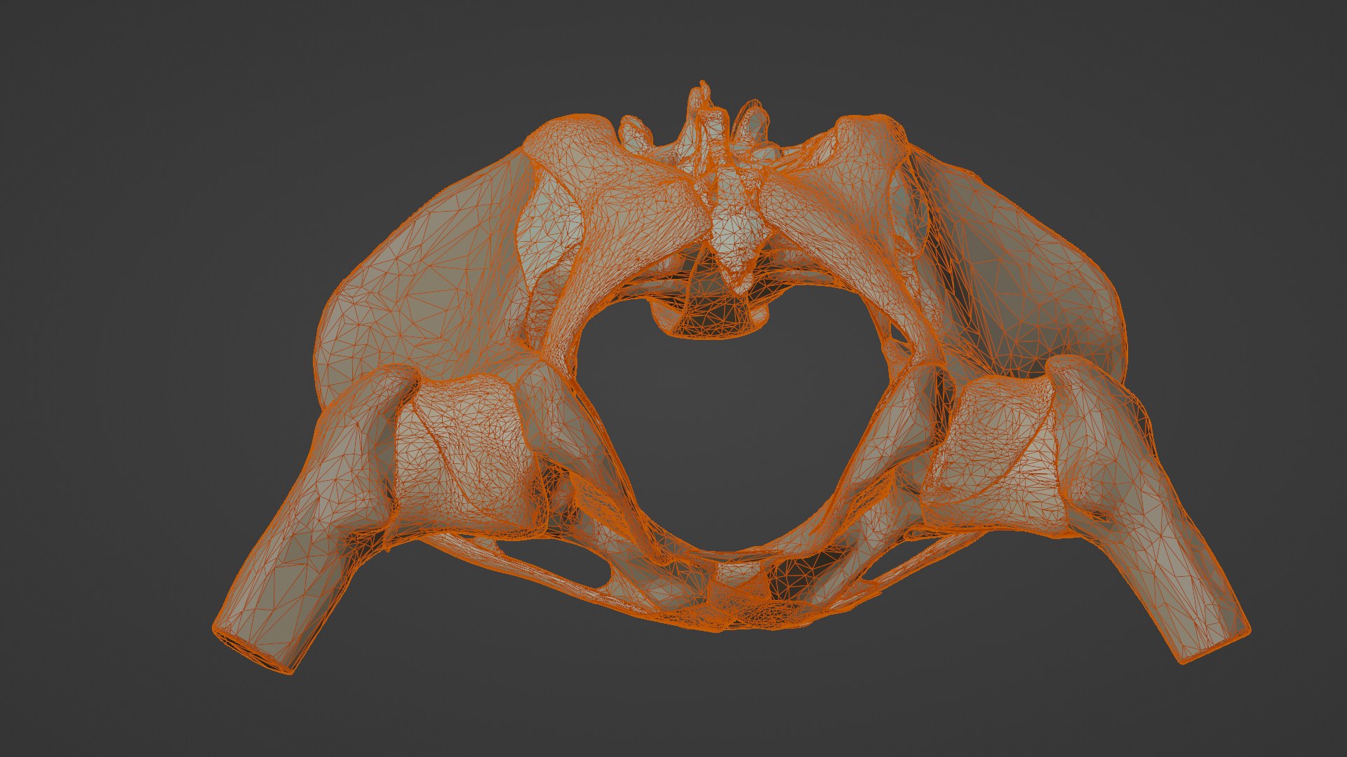 3D Pelvis Ligaments Model - TurboSquid 2079296