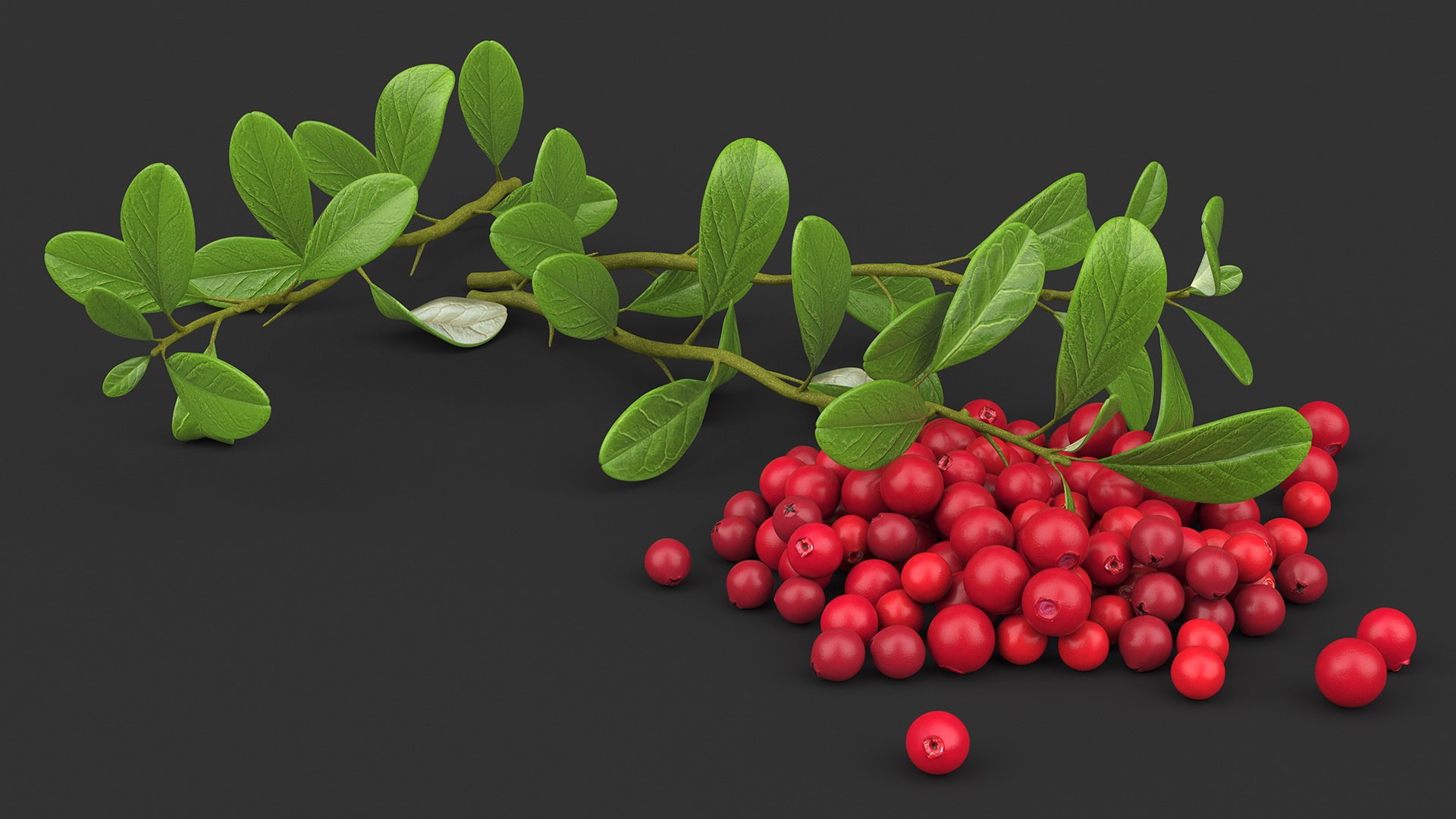 Pile Of Cranberries With Branches 3D Model - TurboSquid 2189748