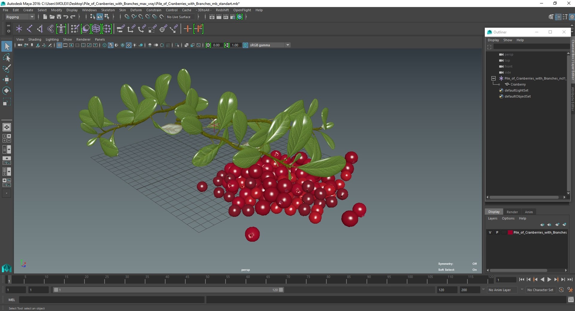 Pile Of Cranberries With Branches 3D Model - TurboSquid 2189748
