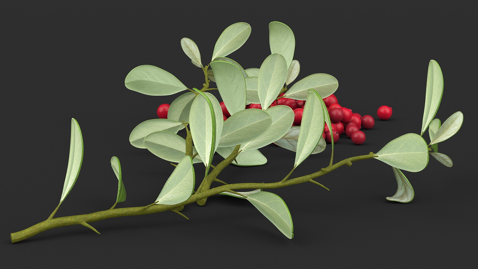Pile Of Cranberries With Branches 3D Model - TurboSquid 2189748