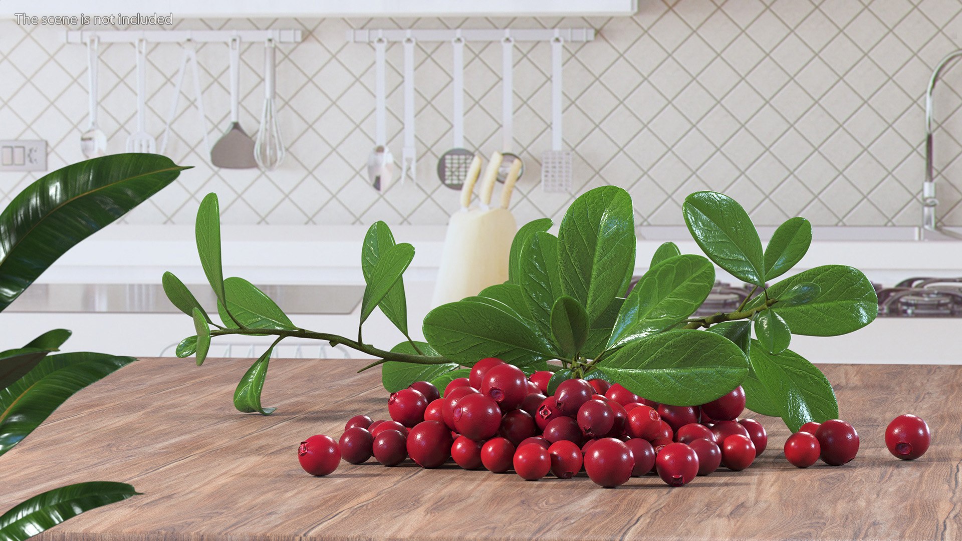 Pile Of Cranberries With Branches 3D Model - TurboSquid 2189748