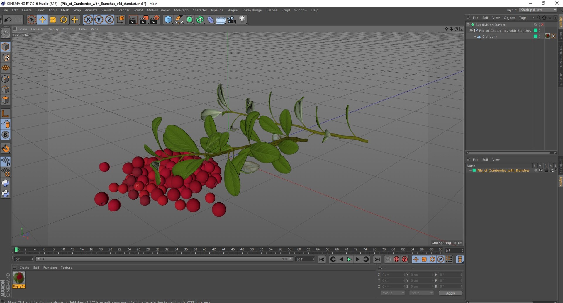 Pile Of Cranberries With Branches 3D Model - TurboSquid 2189748