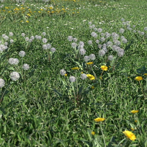 Free Blender Grass Models | TurboSquid