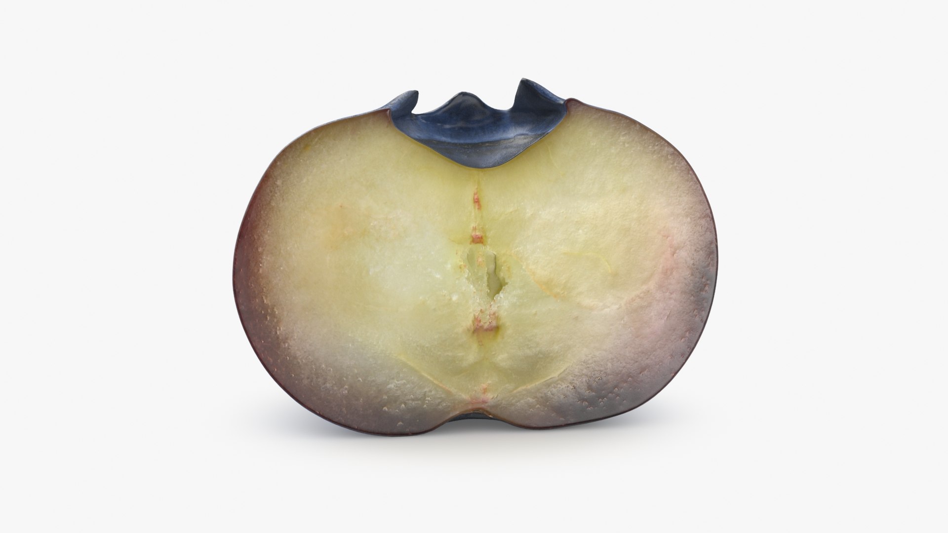 3D Half Blueberry - TurboSquid 2198995