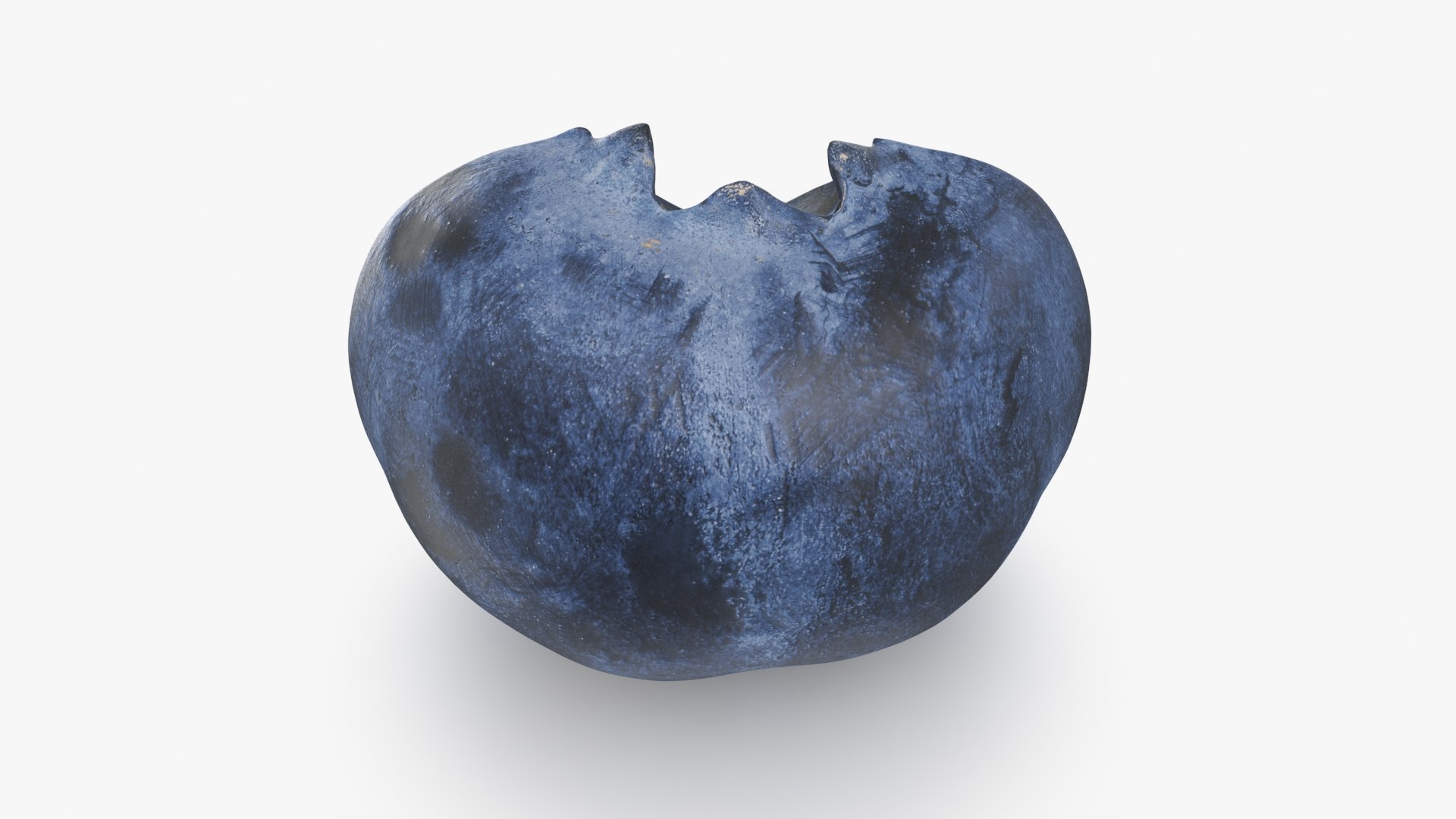 3D Half Blueberry - TurboSquid 2198995