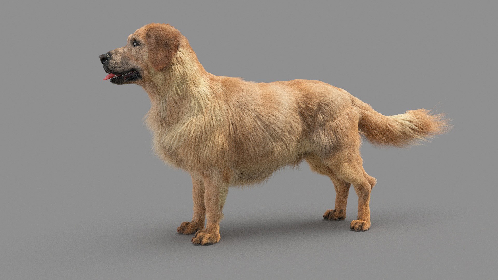 3D Golden Retriver Model - TurboSquid 1736325
