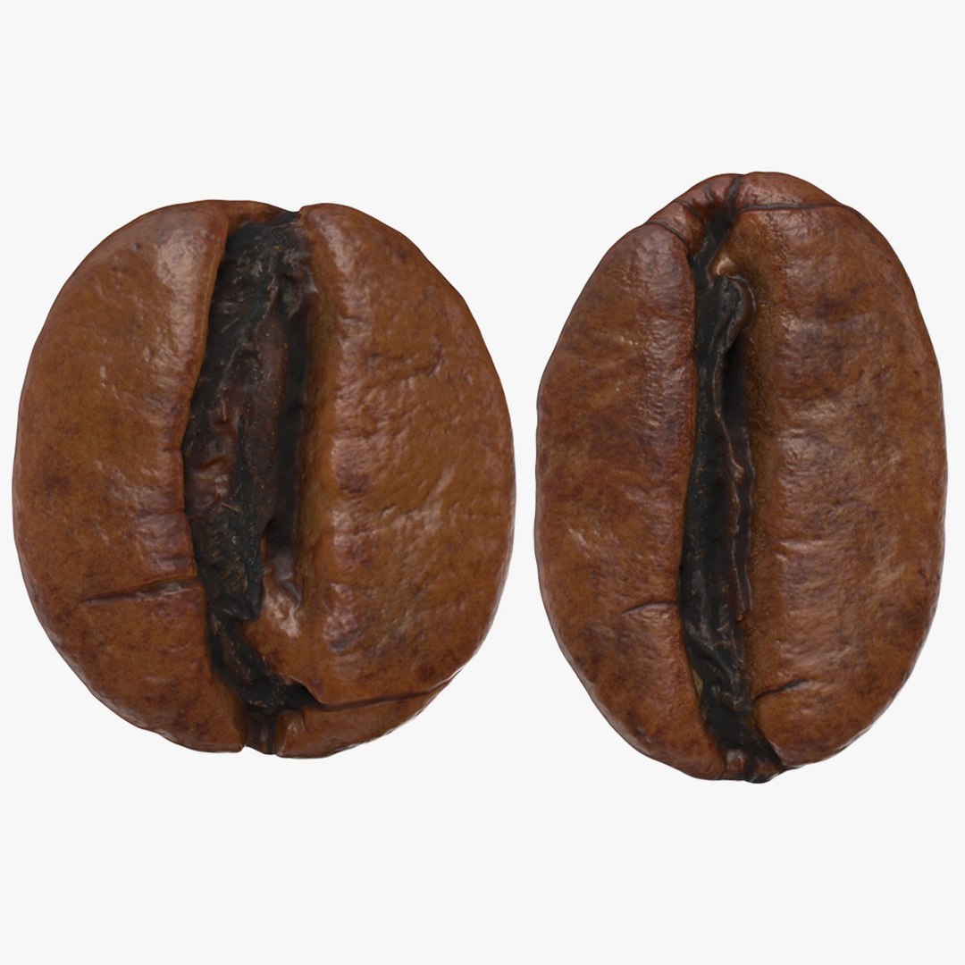 3D Coffee Bean Collection 2 Model - TurboSquid 2289122